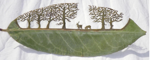 The Phytophactor: Leaf cuttings and art