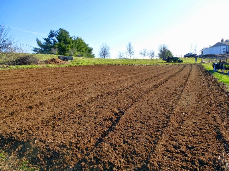Homestead Hill Farm: Thankful Thursday: The Busy-ness of Spring