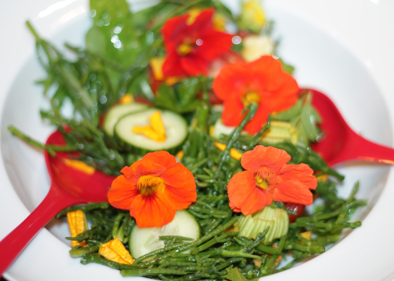 Gruß aus der Küche : Queller SALICORNIA und Meeresspargel bitten zum Salat