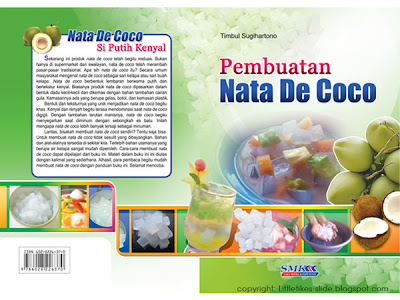 LITTLE TIKES SLIDE: 4/17/11 - 4/24/11