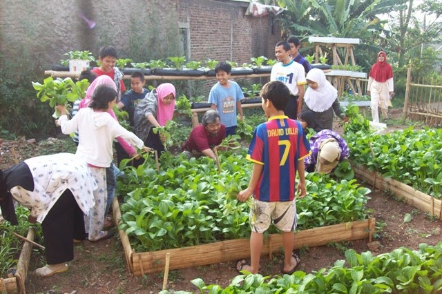 25+ Inspirasi Gambar Berkebun