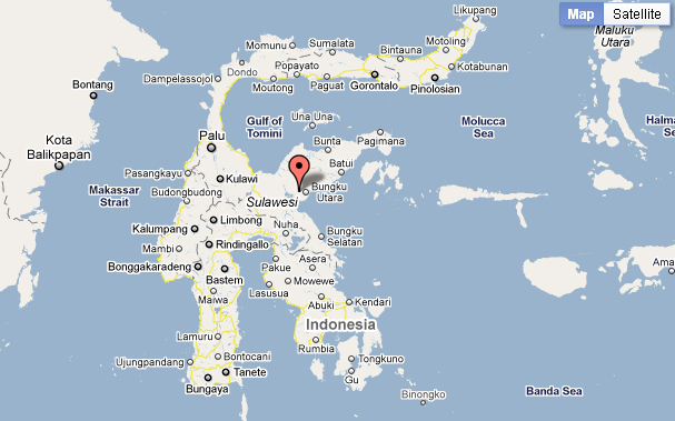 Riszky Nurseno: Morowali Nature Reserve, Central Sulawesi