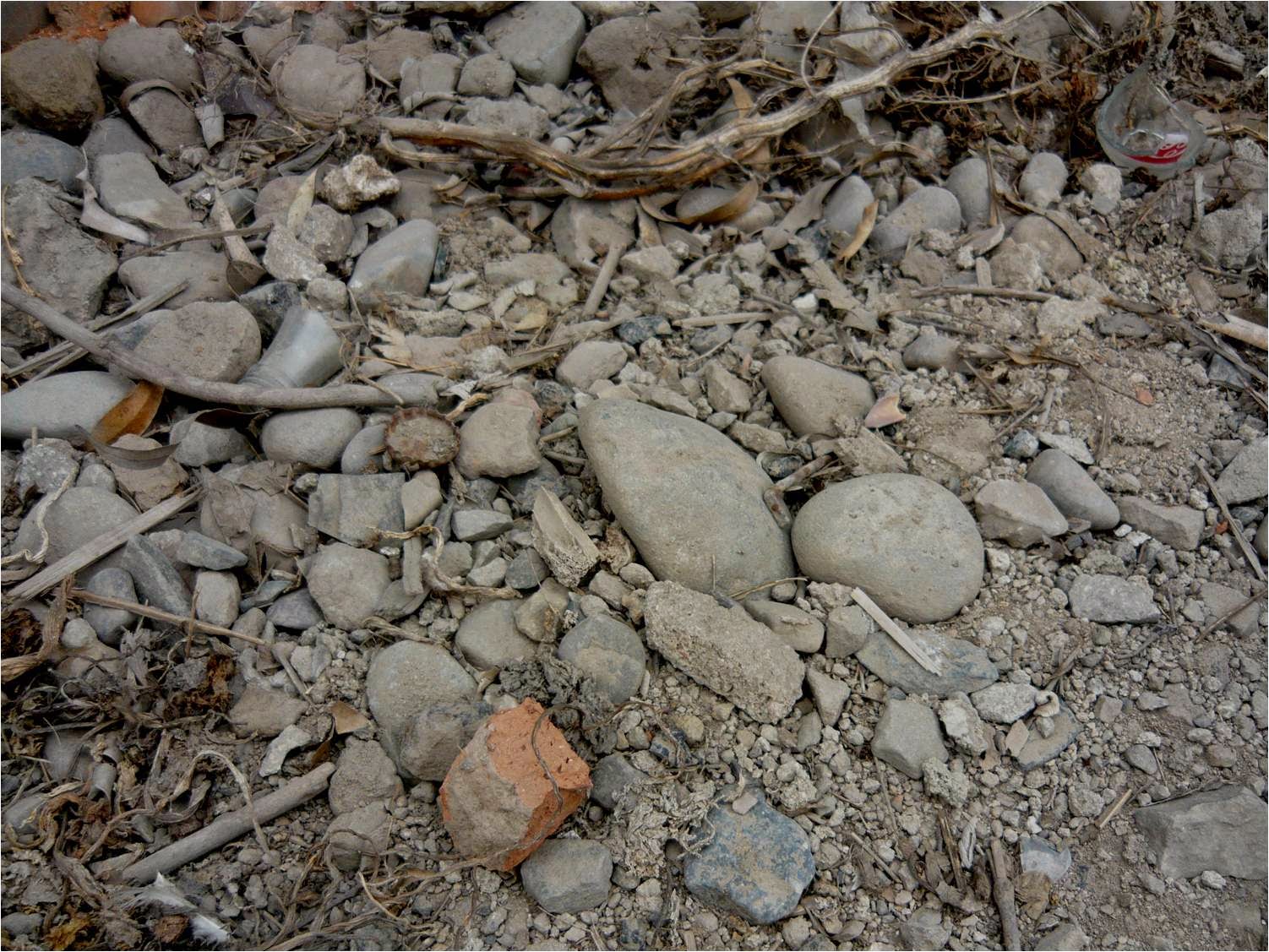 ALTERNATIVA ECOLÓGICA: CULTIVO DE HORTALIZAS EN SUELOS PEDREGOSOS