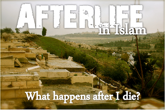 What Happens After I Die? - Zaufishan