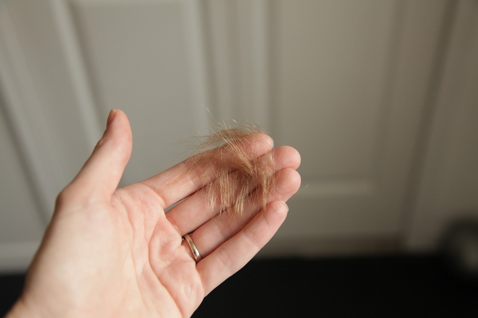 no-big-dill-you-ve-got-your-hands-full