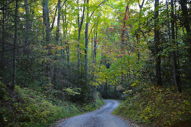 Sweet Southern Days: Parson Branch Road In The Great Smoky Mountains ...