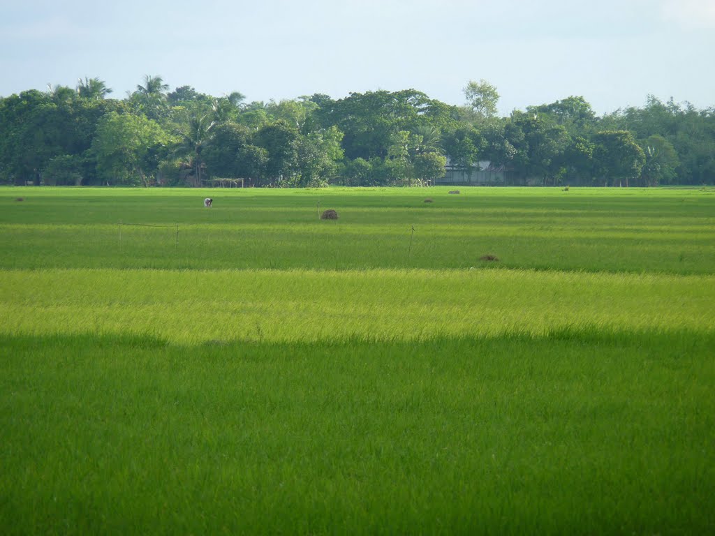 EXPLORE THE WORLD: Kushtia; a City in Bangladesh