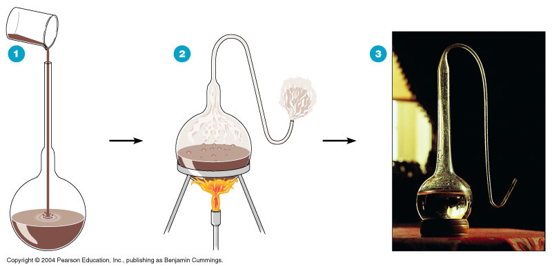Ayo Belajar dan Latihan Biologi !! (e-learning): Sejarah Mikrobiologi ...
