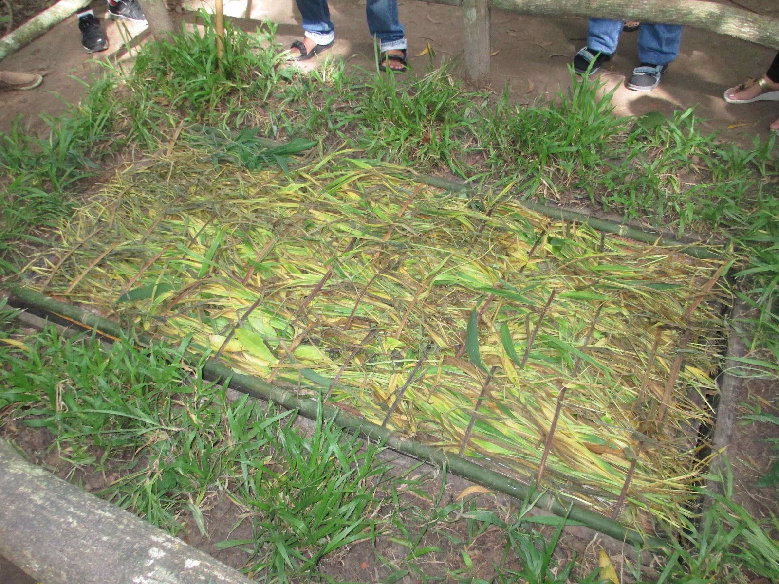 Jefferson in Vietnam: Best weekend ever! So much to report...