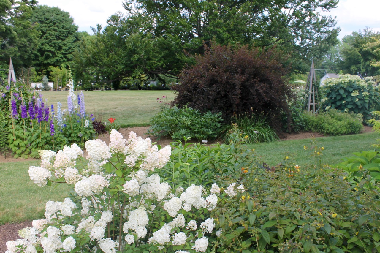 Pam's English Cottage Garden: A Visit to White Flower Farm