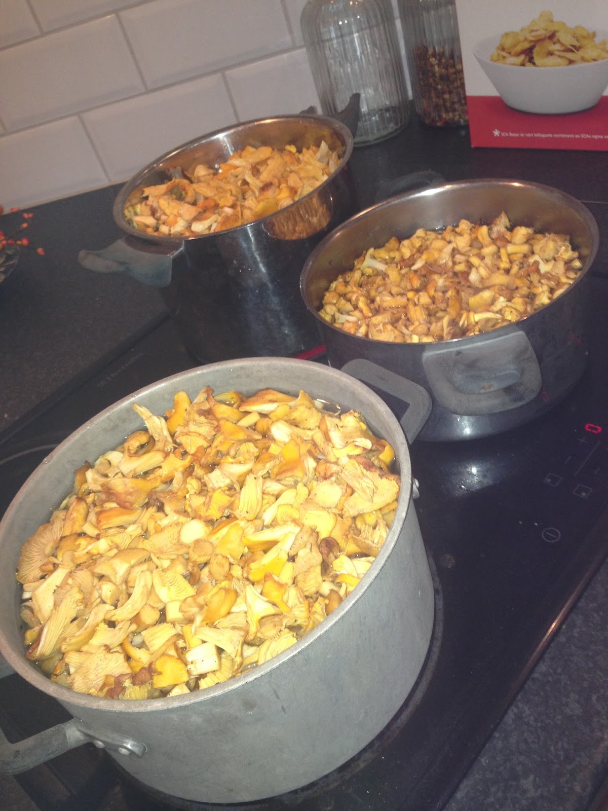 :0( Min väg från trött tjockis till pigg, tränande smalis med massor av ...