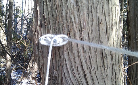 Pattern and Match: Building and Using an Experimental Beverage