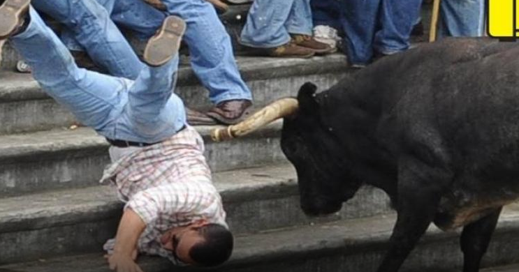 As Melhores Marradas da ilha Terceira ! AO 2:08 Minutos é de Chorar a rir!