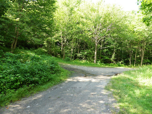 Matt's Hikes: Wilson and Breadloaf - July 20, 2013