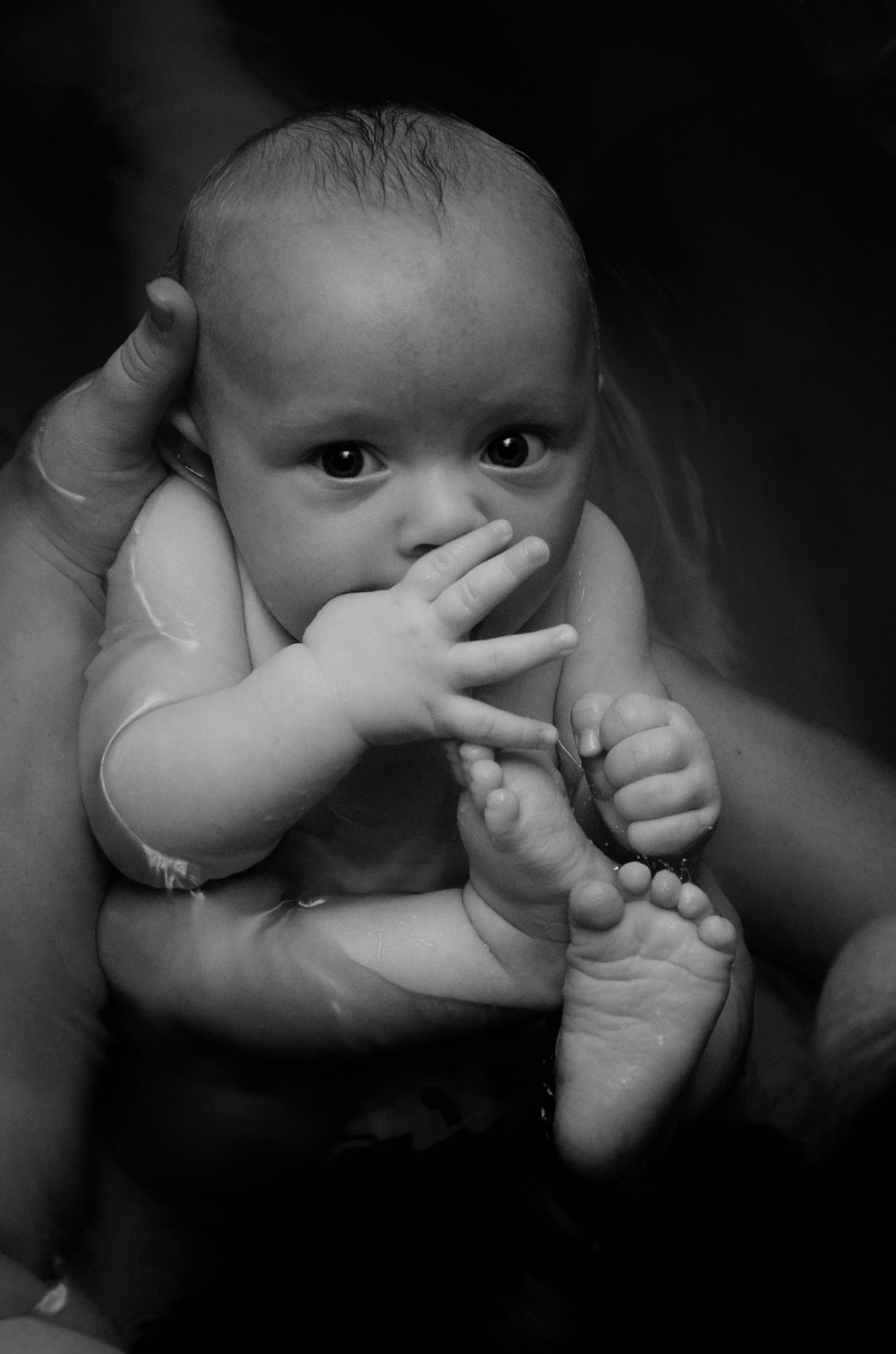 Andrea Price Photography: What Is A Rebirth Ceremony? - Orlando (Re ...