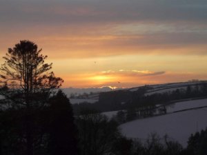 Dunster Lodge (Sherlock's Home): Forest Park - North Devon