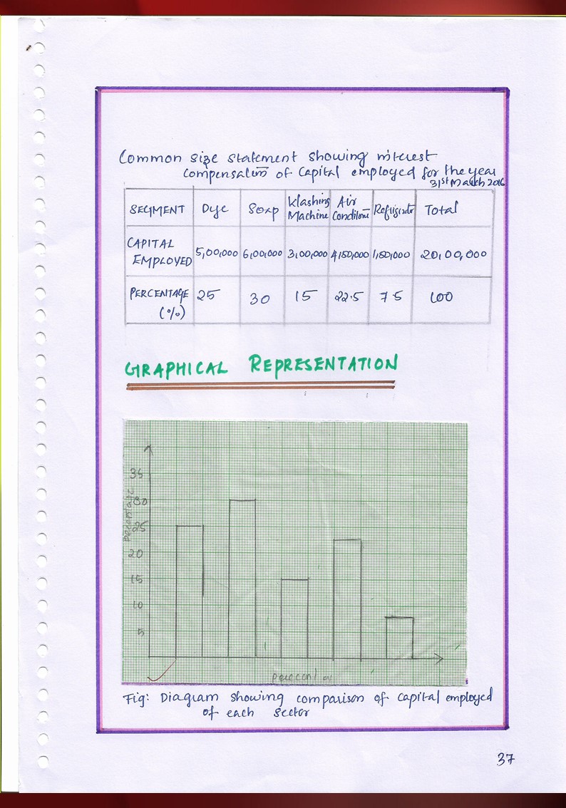 PRACTICAL ACCOUNTANCY: Specific project - 1 Segment Analysis