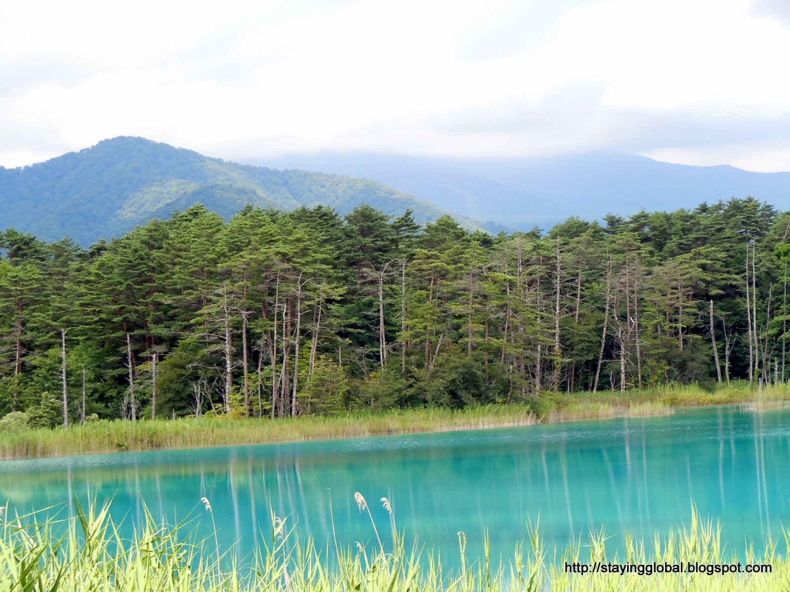 A Global Life: Goshikinuma - the Five coloured lakes