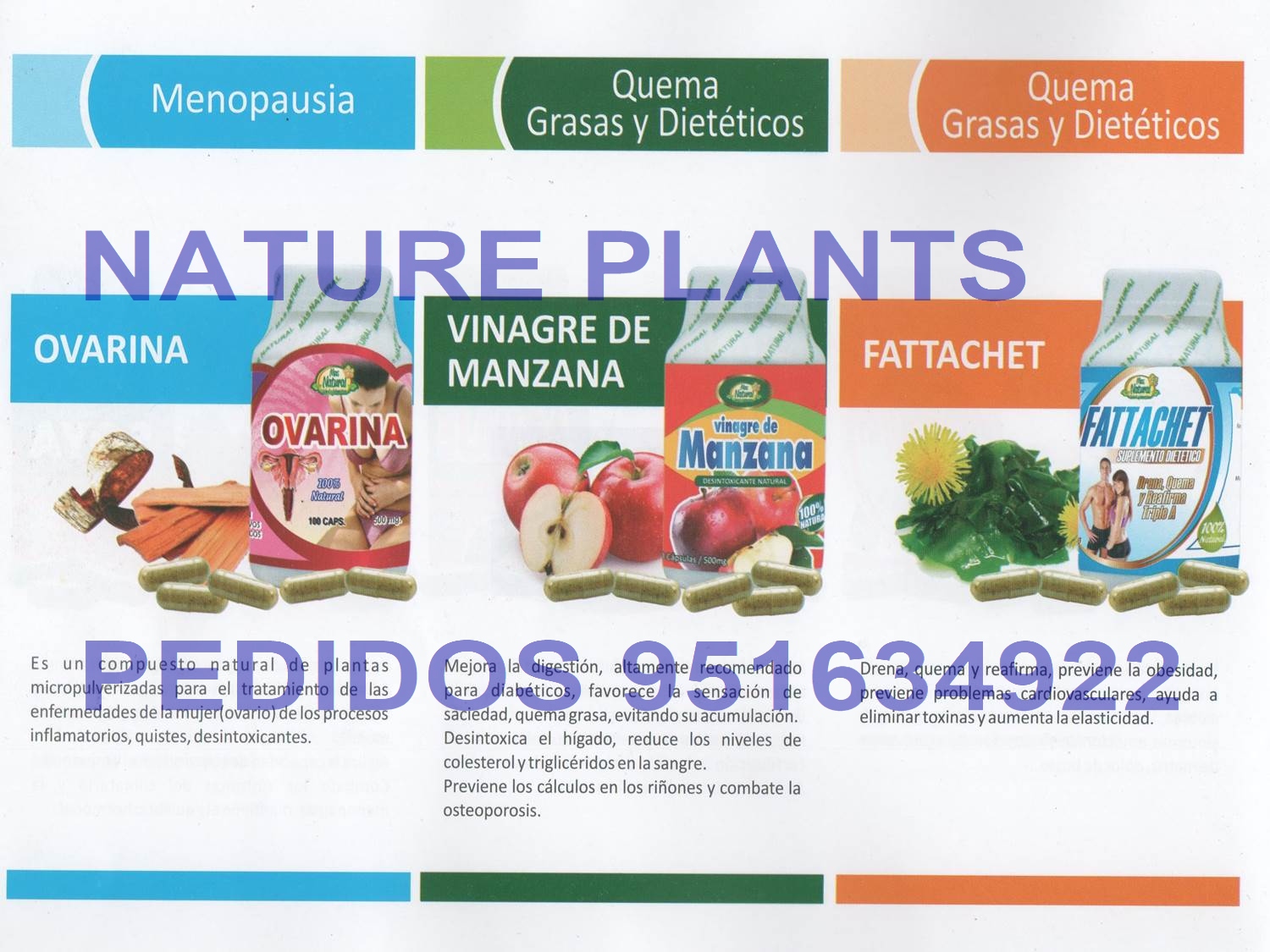 MAS NATURAL CATALOGO CAPSULAS