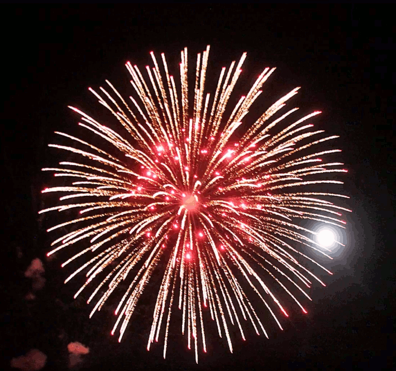 Adéntrate en el mundo de las TIC's