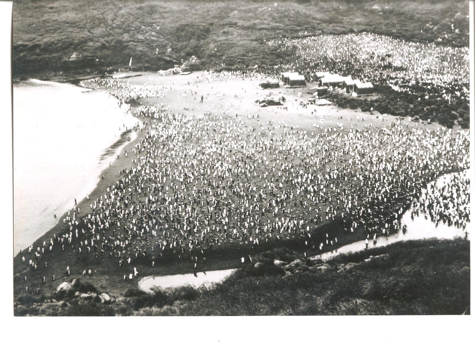 UN AUVERGNAT A 46° SUD: Petit historique de la Base Alfred Faure