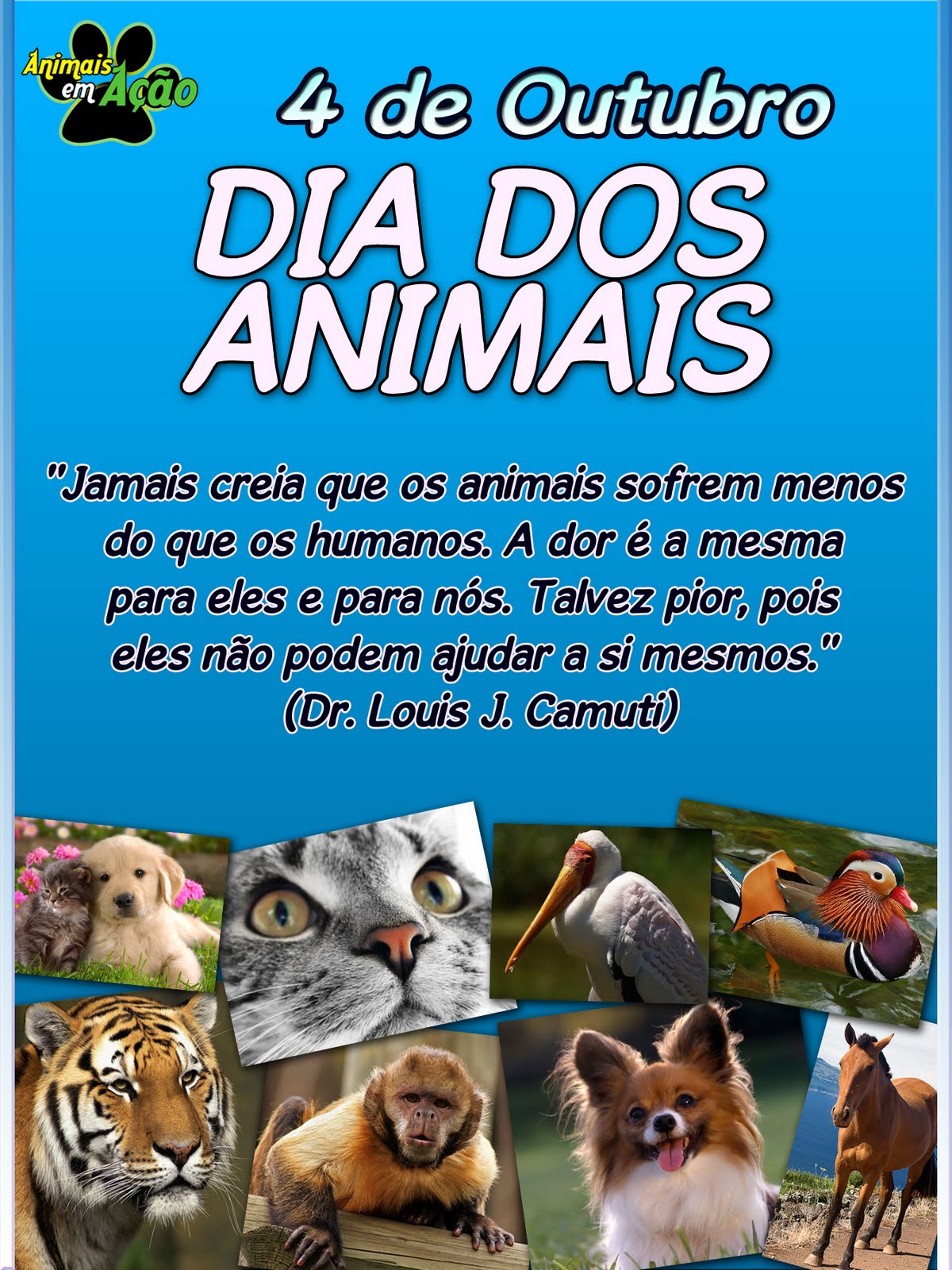 Programa Animais em Ação: 4 de Outubro - Dia dos Animais