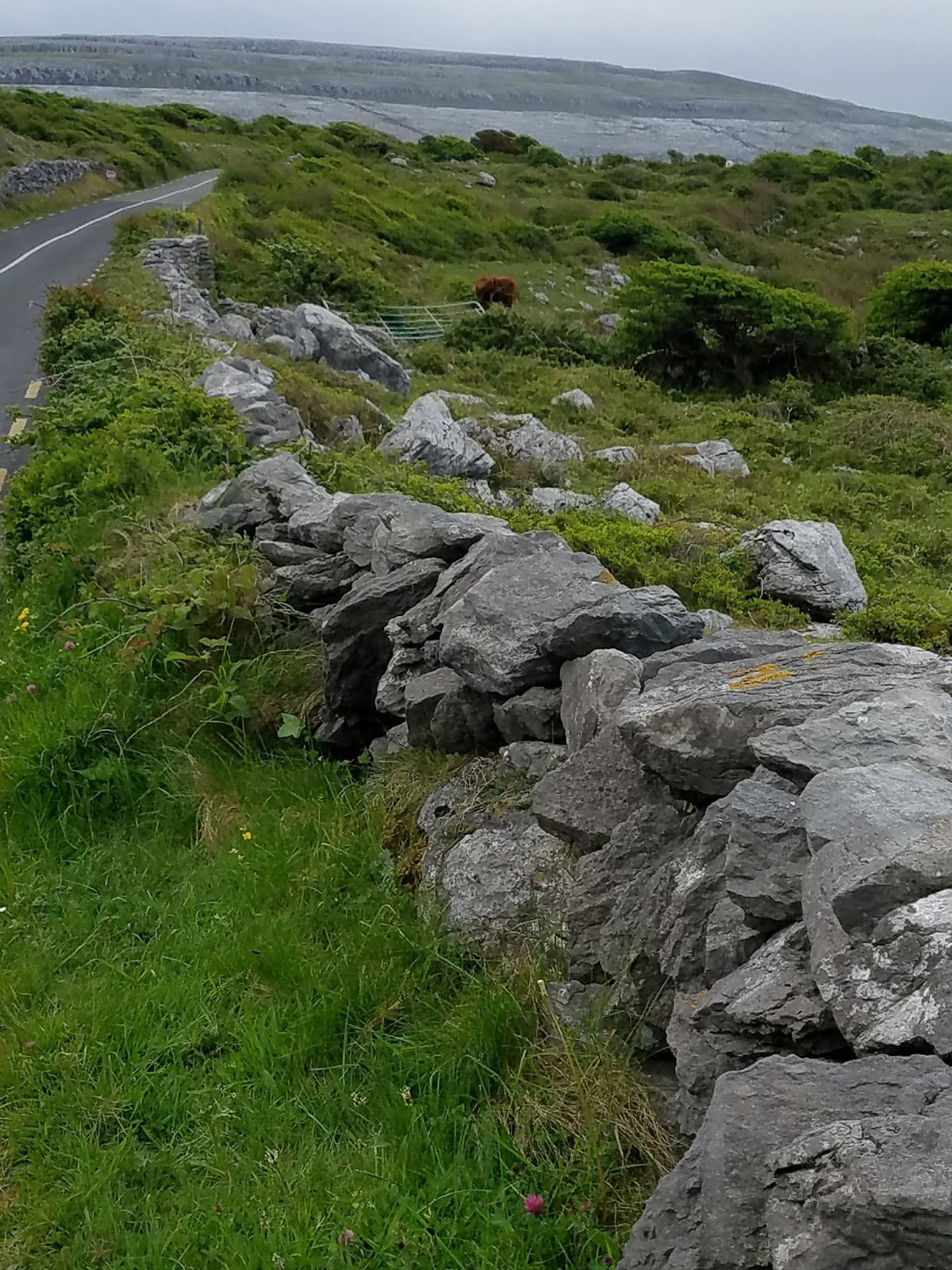 My Vintage Journeys: STONE FENCES & WALLS OF IRELAND