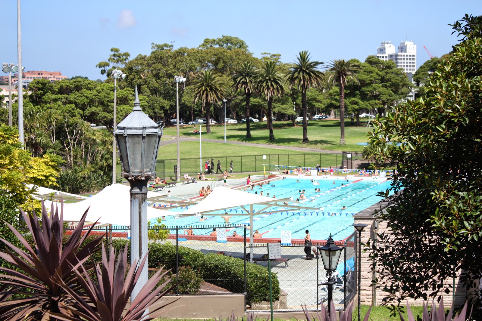 Sydney - City and Suburbs: Camperdown, Victoria Park Pool (Theme Day: Celebrating Summer)