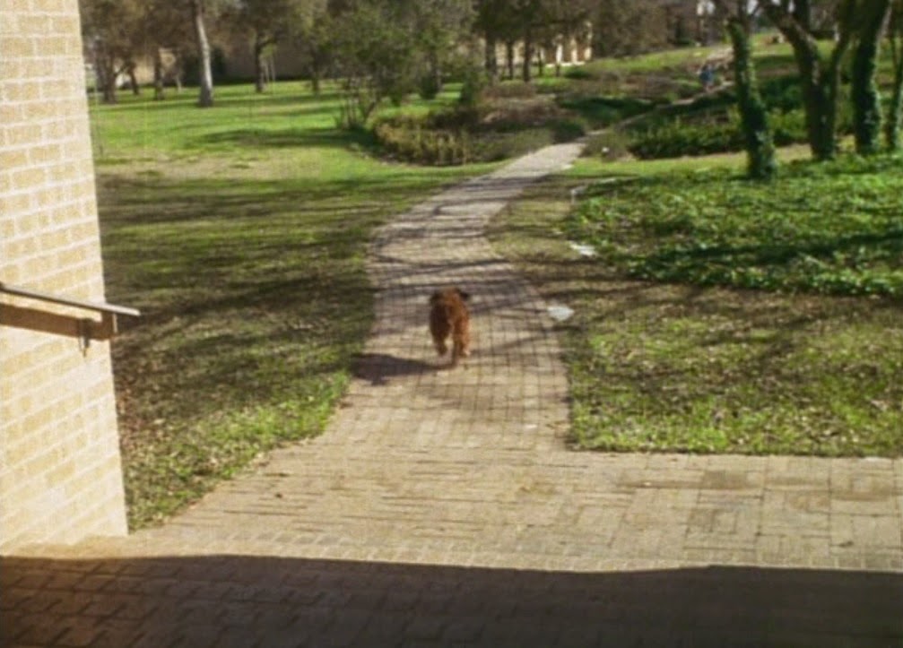 Benji Film Locations