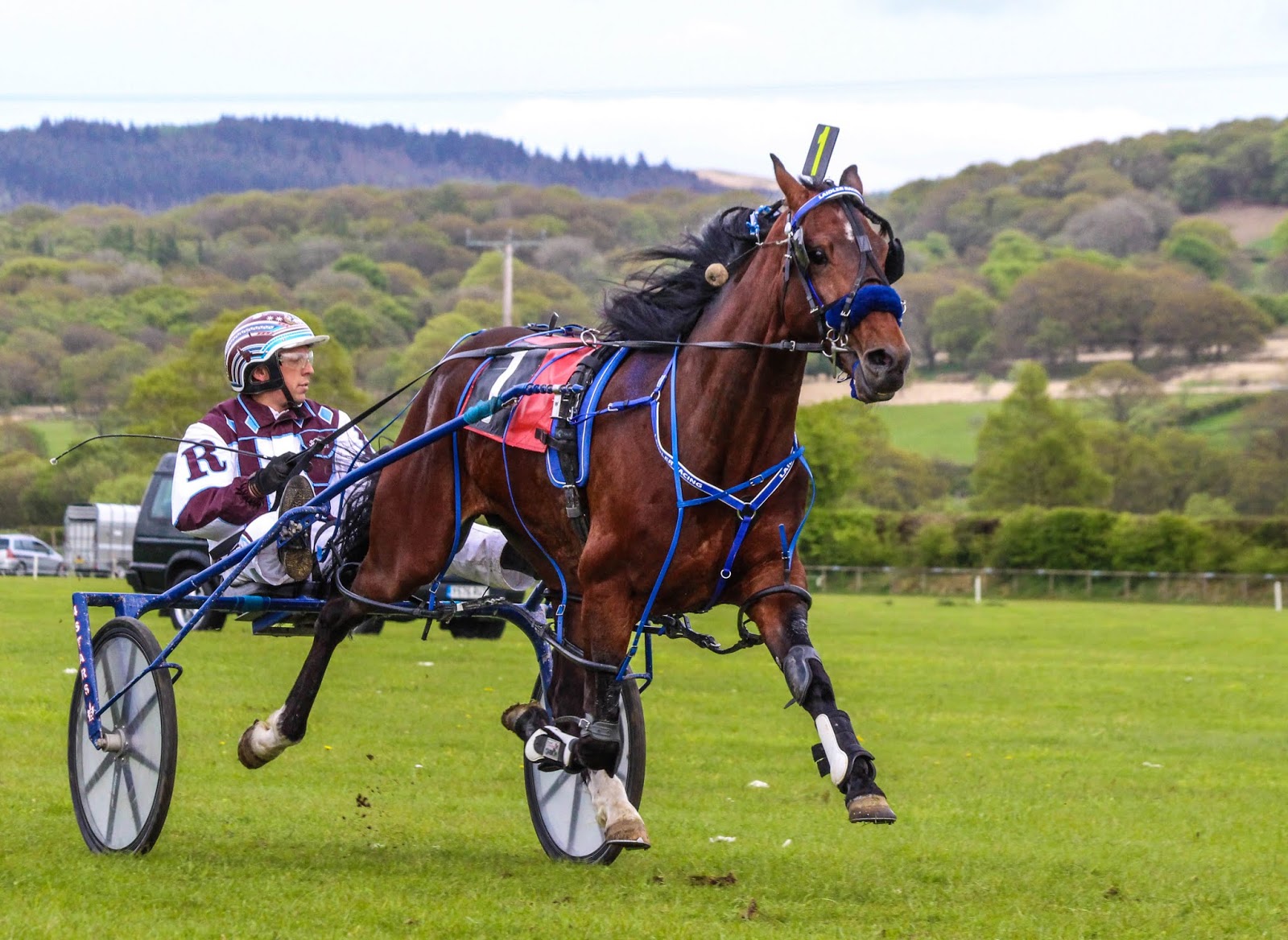 Harness Racing in the UK: 2018 Season: Week 2 - A solid 6 for Team Laidler