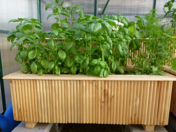 APUNTES - REVISTA DIGITAL DE ARQUITECTURA: Diseño de Jardineras - Vida ...