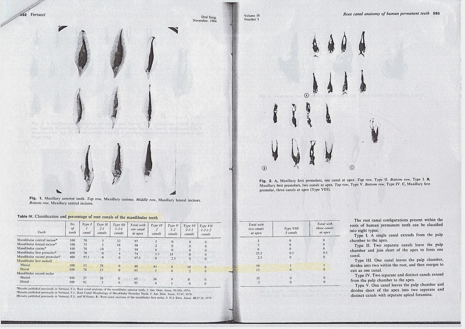 Endodoncia Microscópica en Zaragoza: Root canal anatomy of the human ...