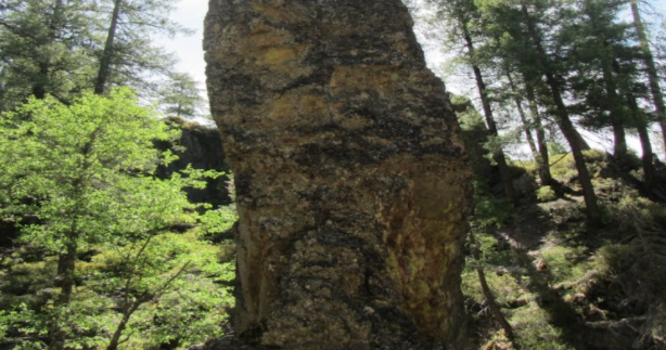 Emigrant Gap Lodge: Hiking Trails and Other Stuff To Do