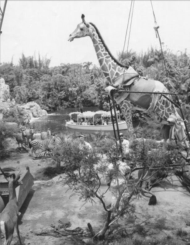 Old Photos of the Construction of Disneyland ~ Vintage Everyday