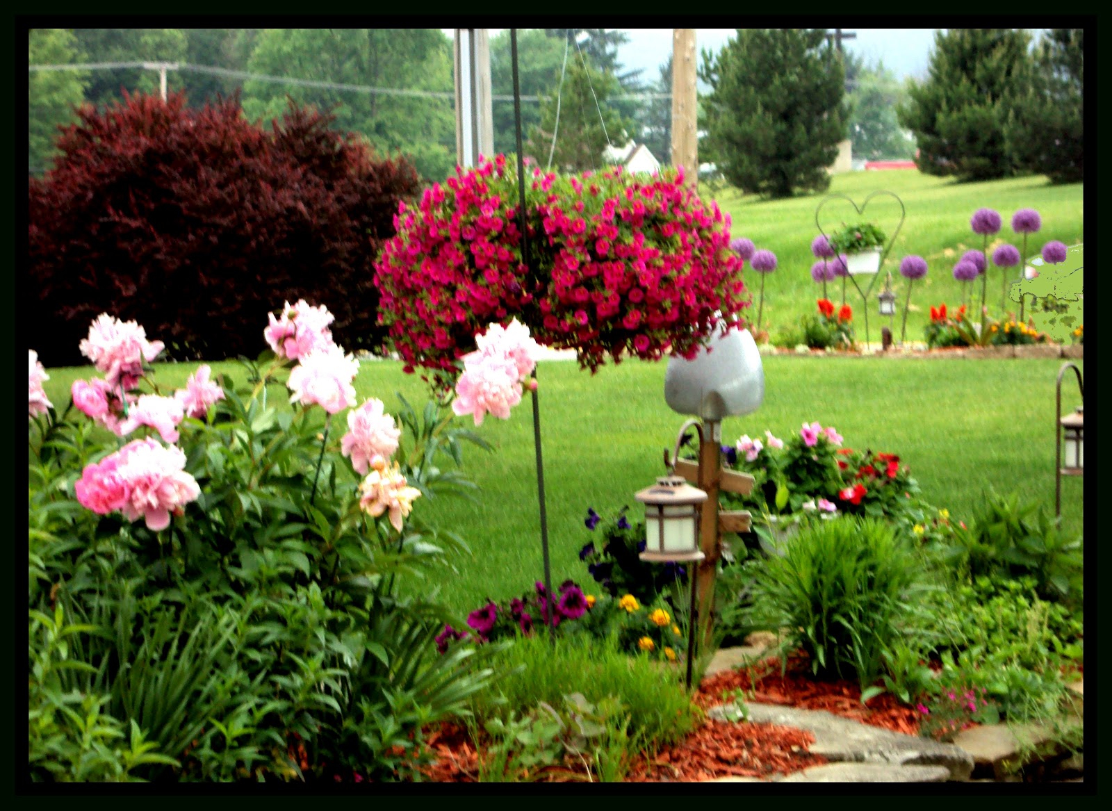 Beautiful Photos Of The Garden - All Seasons