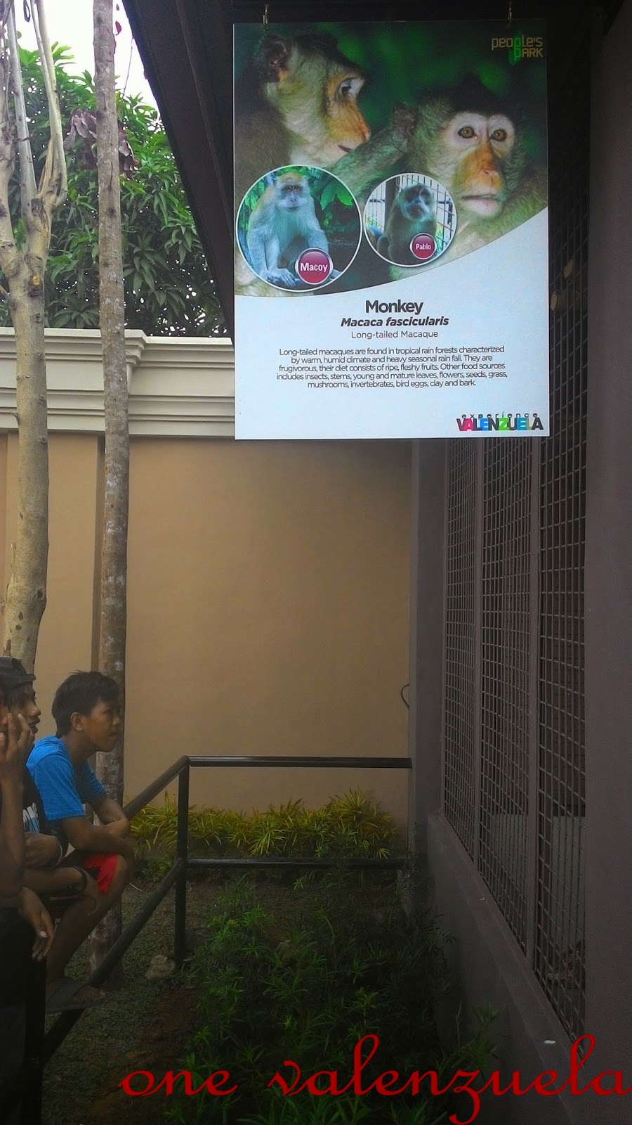 One Valenzuela: 7 Things that you will Love about the Valenzuela City ...