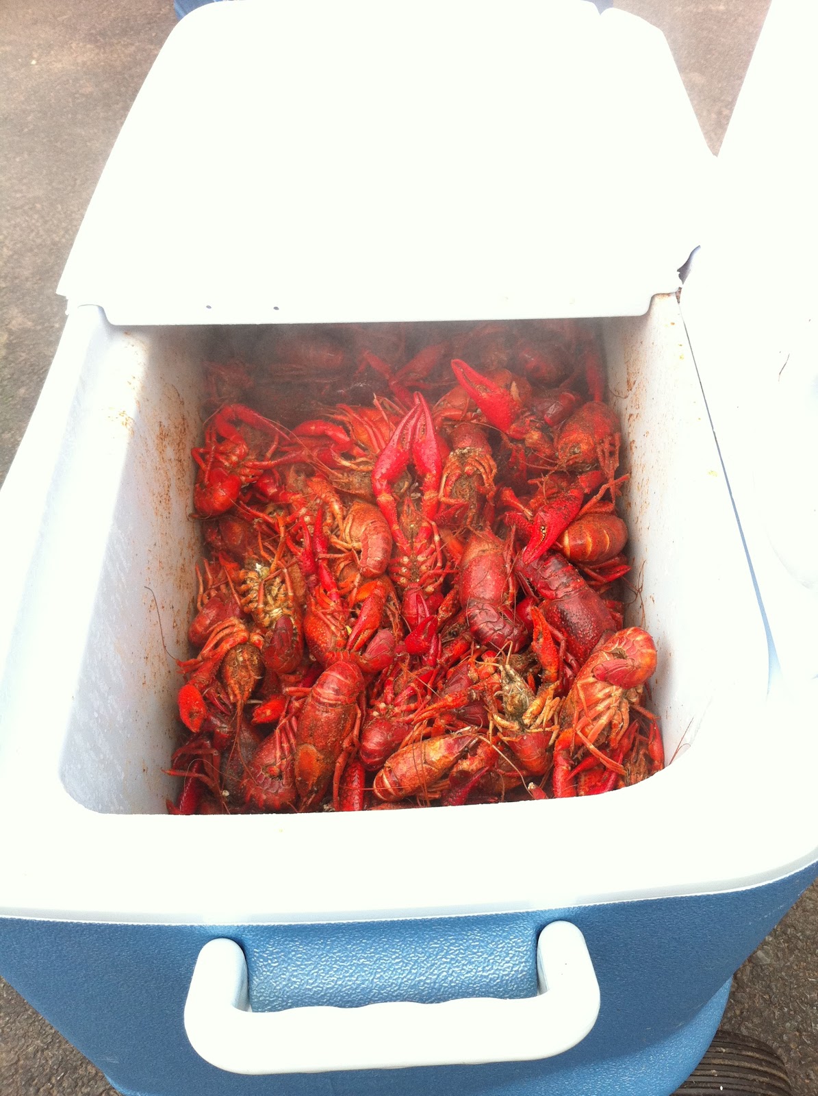 The Traveling Food Critic: Crawfish Boil in Lancaster!