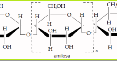Polisakarida - Biology Page