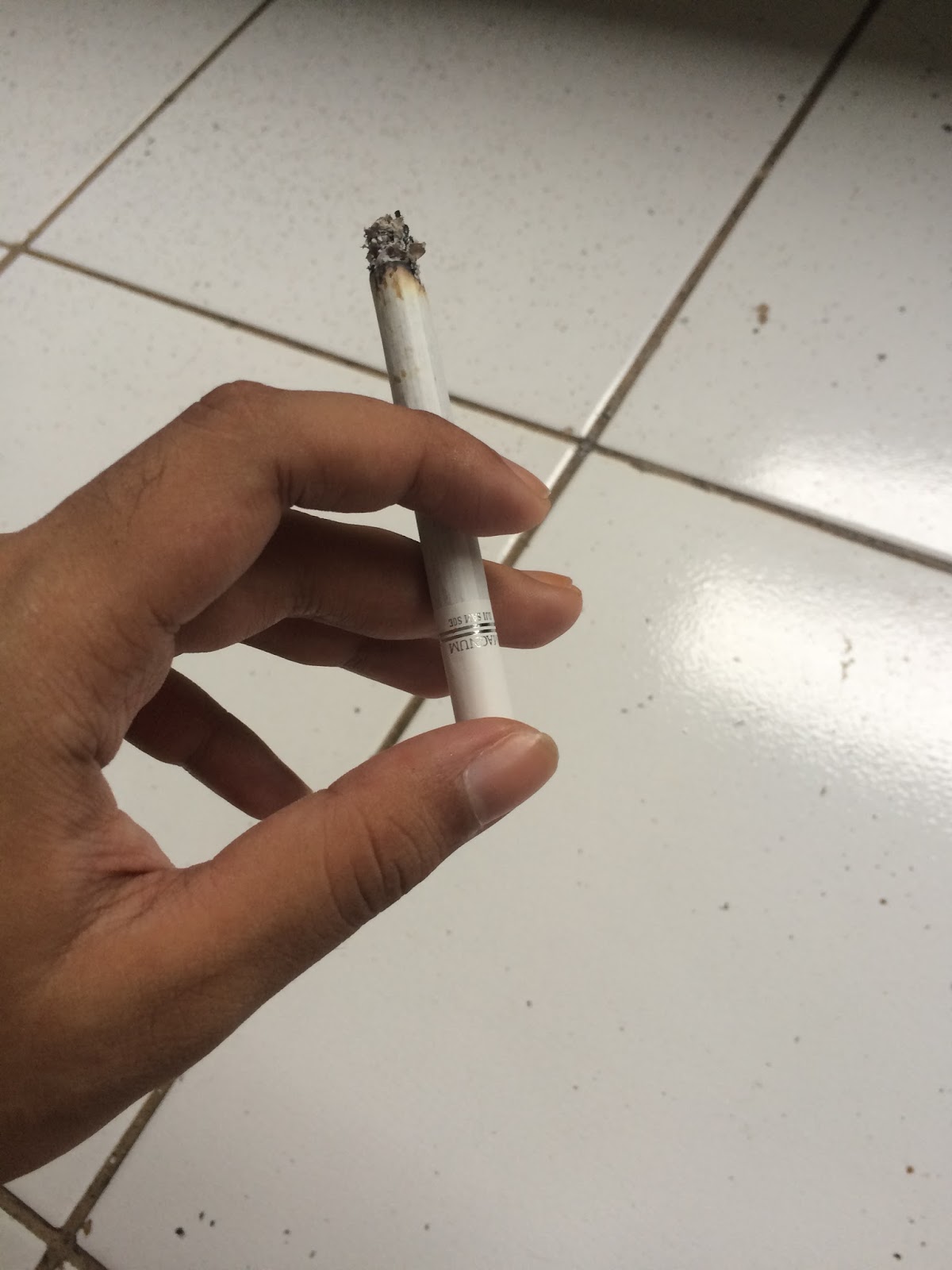 Dji Sam Soe Magnum Filter, SKM Full Flavor dengan batang yang besar