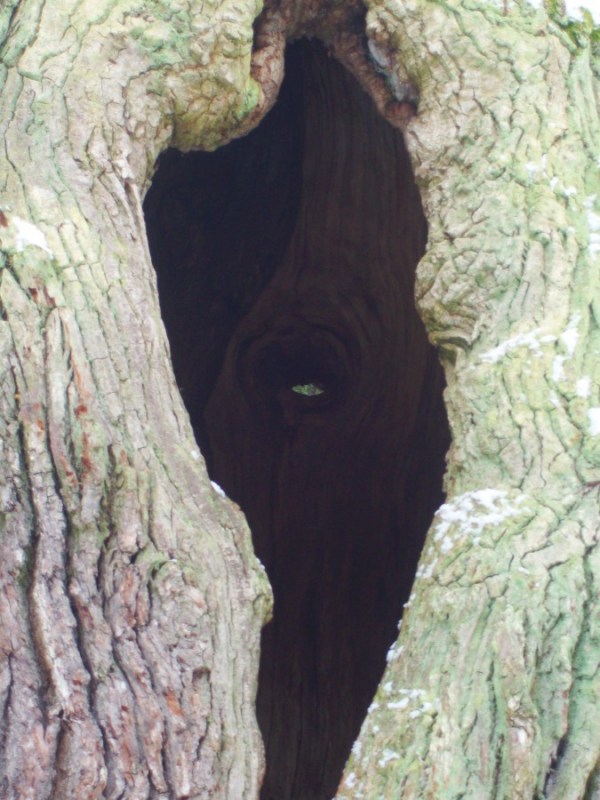 Moja Słowiańska Filozofia | Wiara Przyrodzona Słowian, Poganie, Moja ...