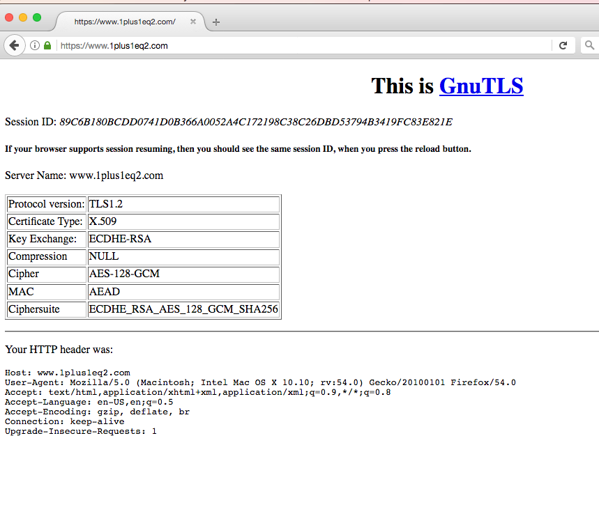 Ken Felix Security Blog: CN and Subject Alternative Names in SSL/TLS ...