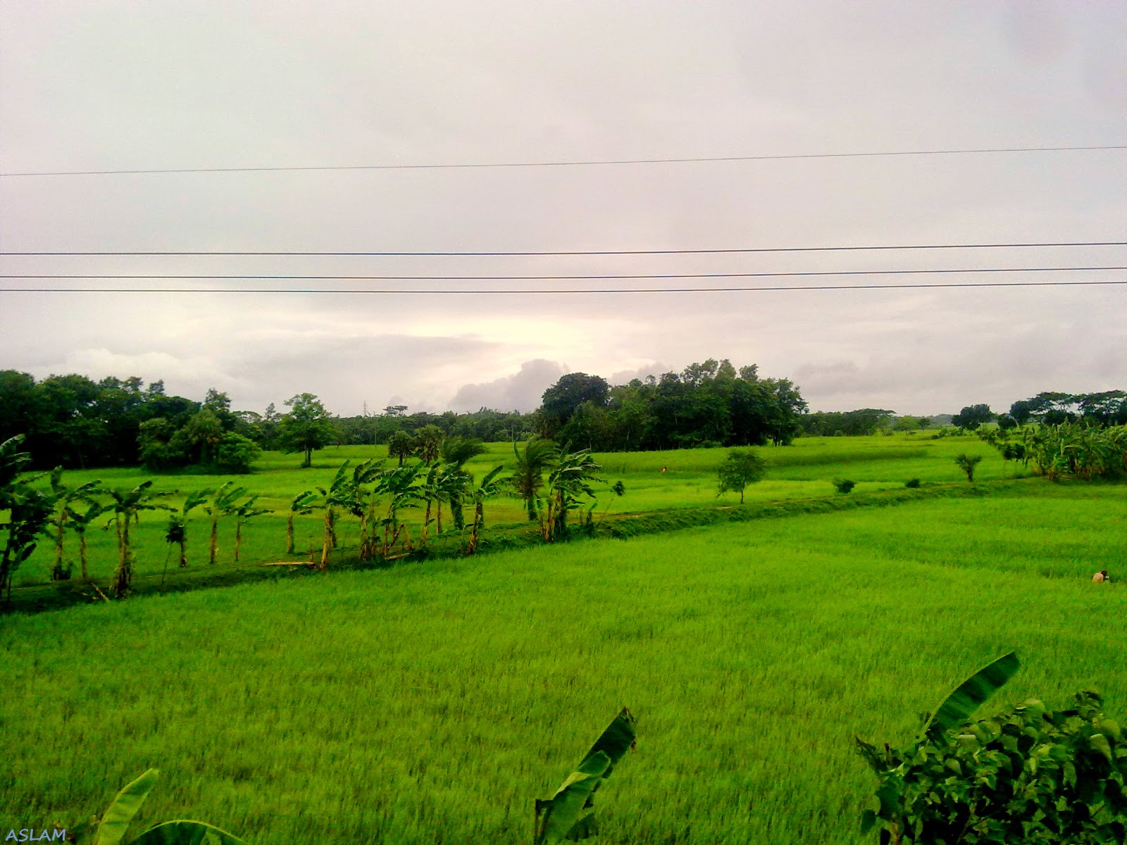 Bangladesh Travel News, Tourist Destinations and Photography Blog: The ...