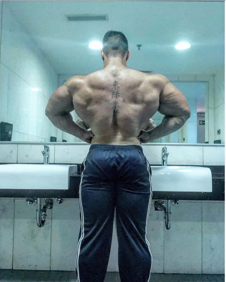 the beauty of male muscle: Ricardo
