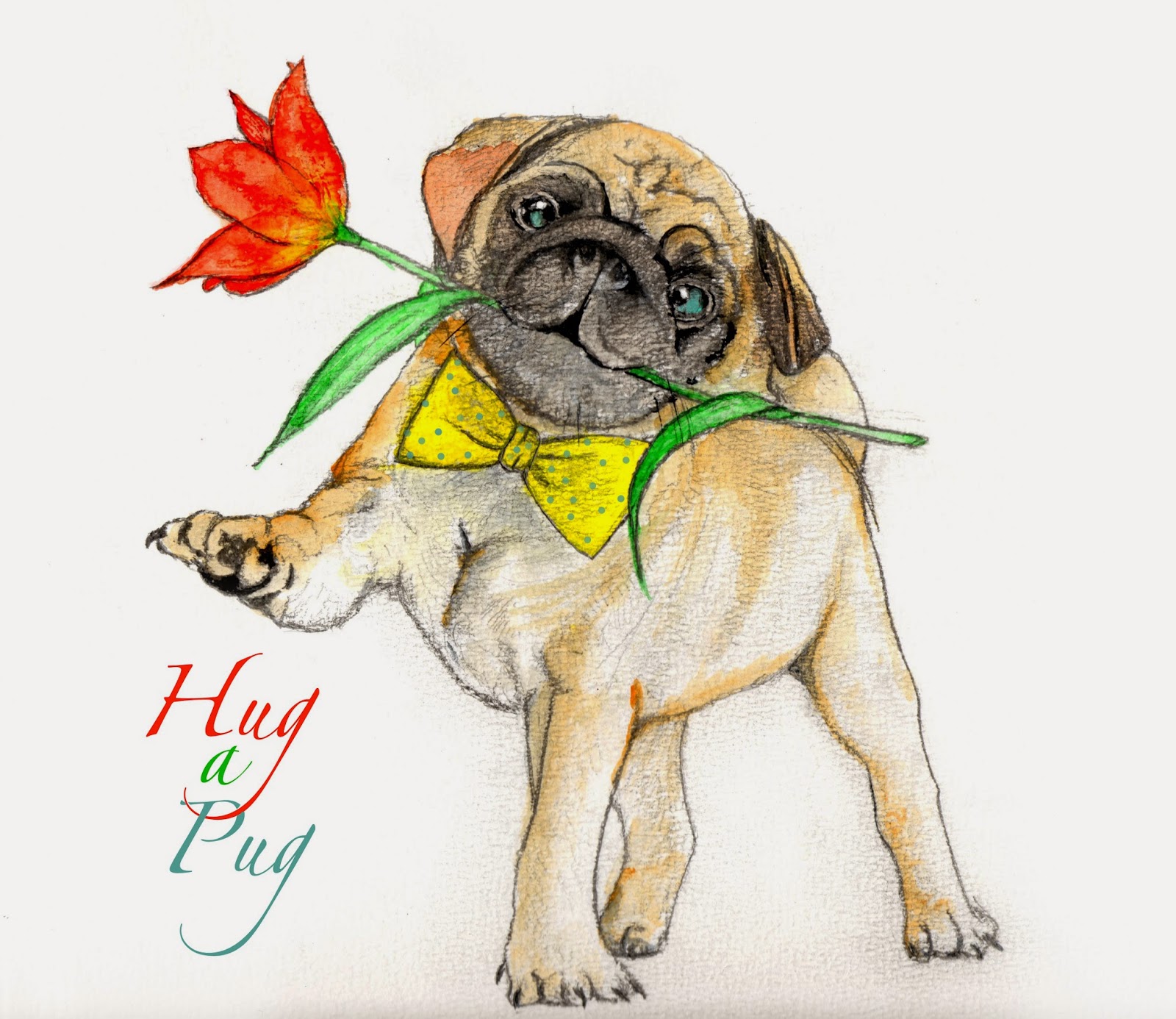 Joy in Creation: Pug Love