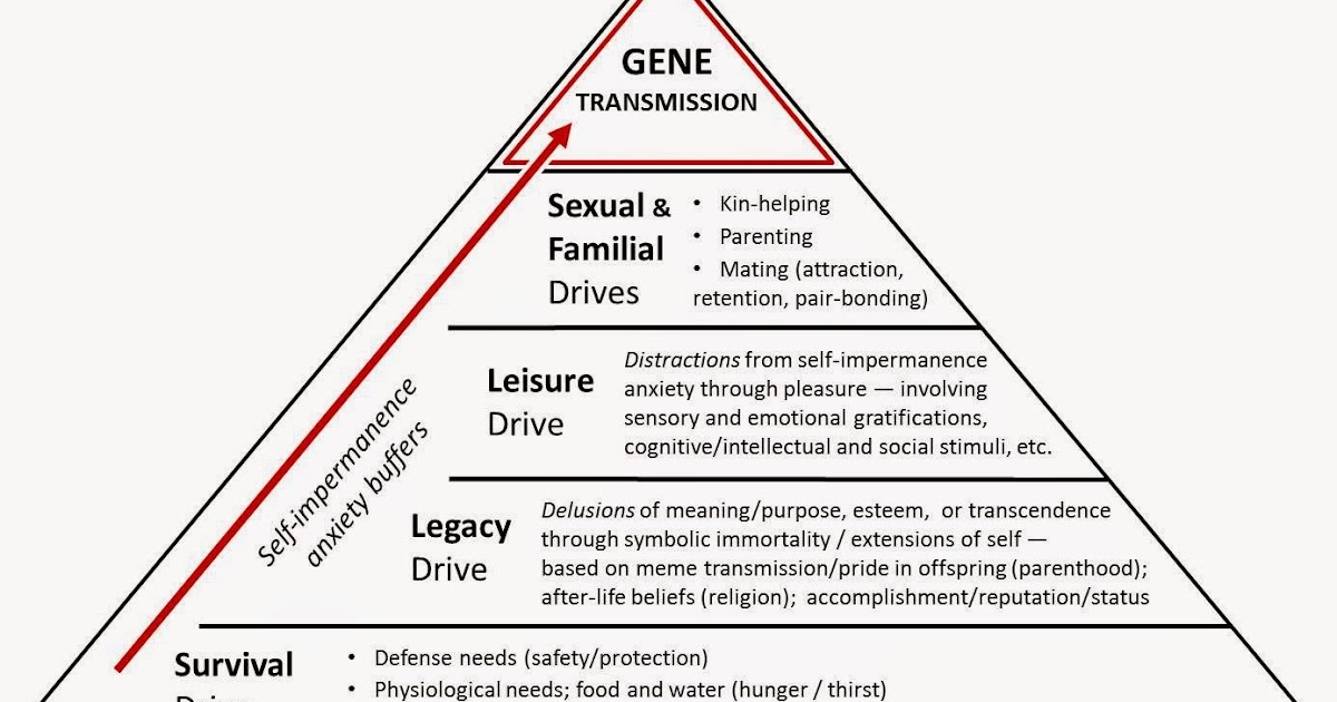 MusingsOne: The 'Big Four' Human Drives