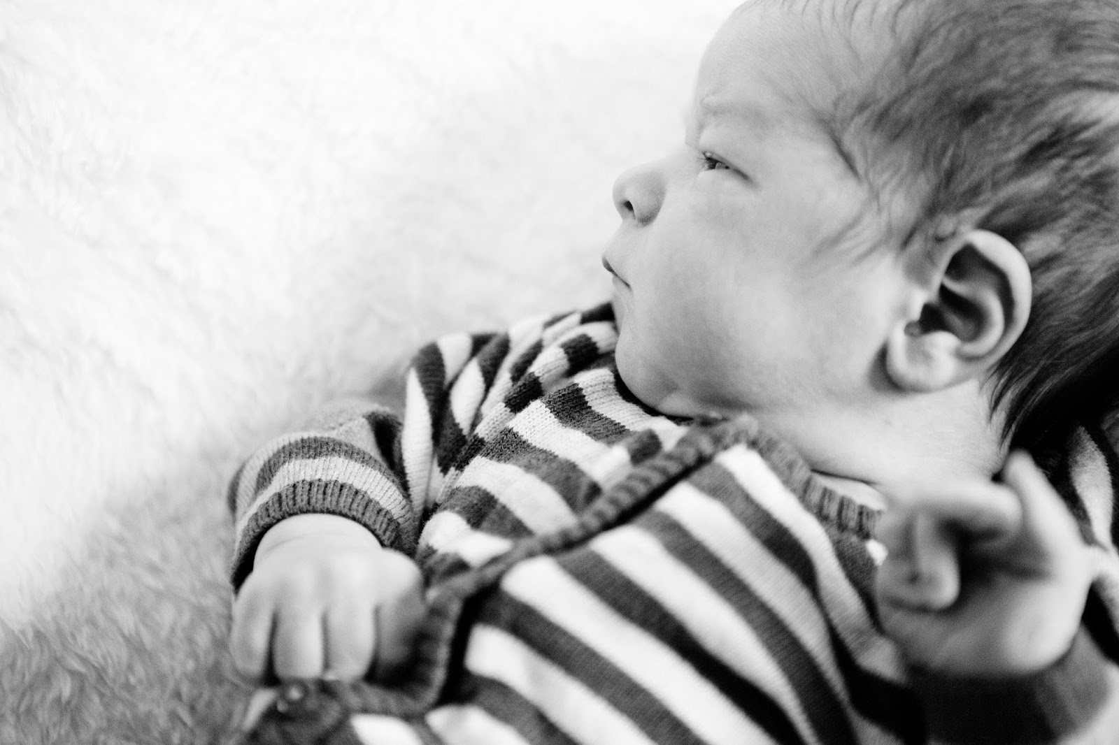 Quilting Mod : Cade Steven Warrick