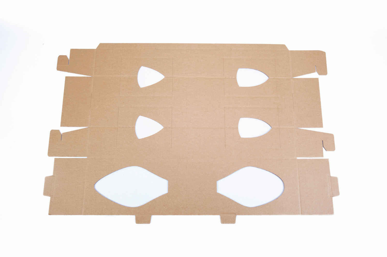 Swaveboard X – Packaging Of The World