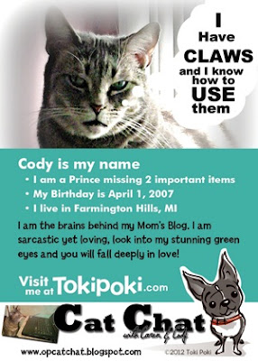 Cat and DOG Chat With Caren: Fun Friday Finds!! Toki Poki Pet Trading Cards