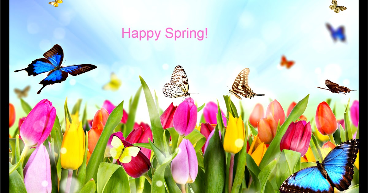 Missys Product Reviews : Happy Spring!