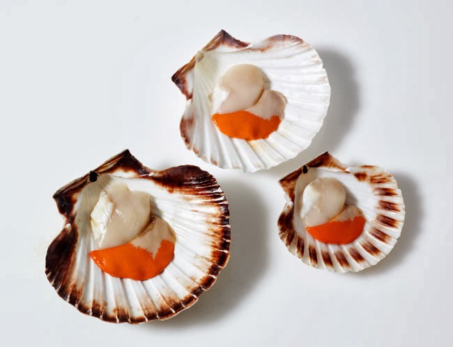 Mozarito y el Camino Mozárabe de Santiago.: El ORIGEN DEL SÍMBOLO DE LA ...